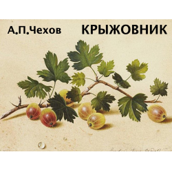 Отзыв о Аудиокнига "Крыжовник" - А. П. Чехов | мечта человека
