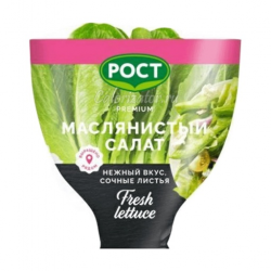 Отзыв о Салат маслянистый в горшочке РОСТ | Интересный листовой салат
